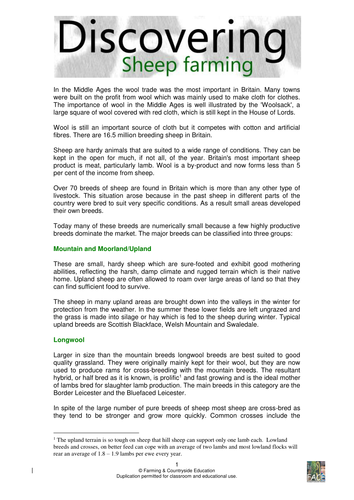 Sheep Farming | Teaching Resources