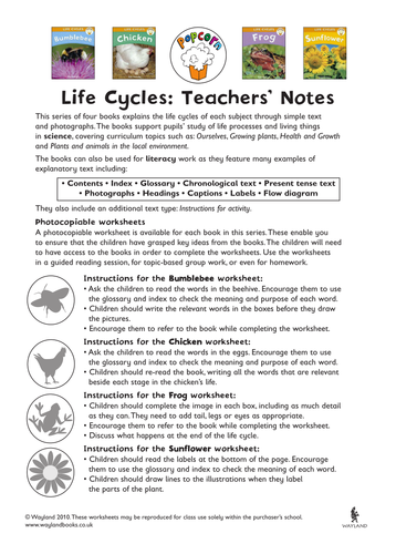 Life Cycles | Teaching Resources