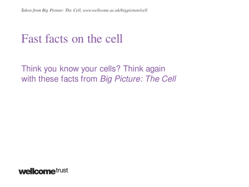 Fast facts on the cell - Powerpoint | Teaching Resources