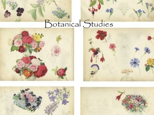 Botanical Studies | Teaching Resources