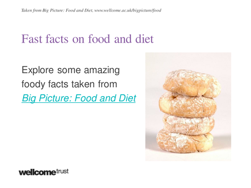 Fast facts on food and diet - powerpoint | Teaching Resources