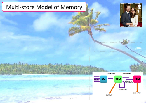 Animation - The Multi Store Model of Memory and its Strengths and ...