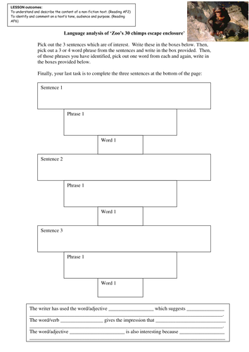 Lesson plan and resources - non/fiction - chimps | Teaching Resources