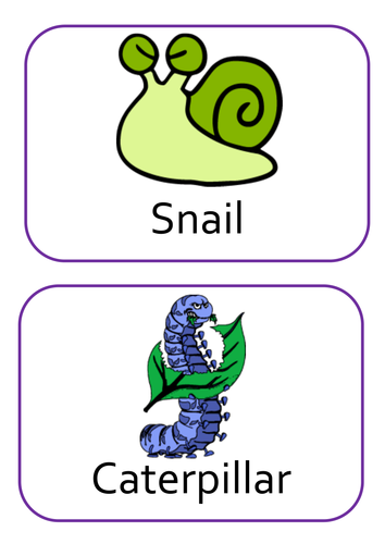 Minibeasts Word Search by - UK Teaching Resources - TES