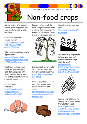 Non-food Crops | Teaching Resources