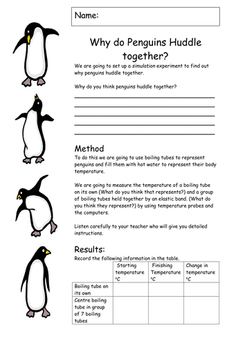 Penguins: Science transition activity | Teaching Resources