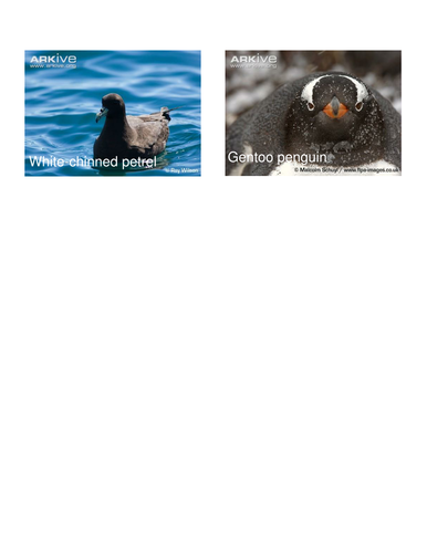 ARKive Geographic - Exploring Global Biodiversity | Teaching Resources