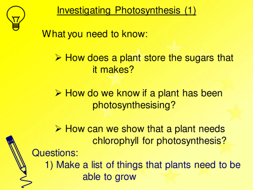 Investigating Photosynthesis | Teaching Resources
