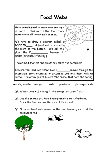 Food Webs | Teaching Resources