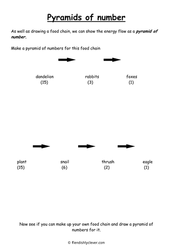 Pyramids of Number | Teaching Resources