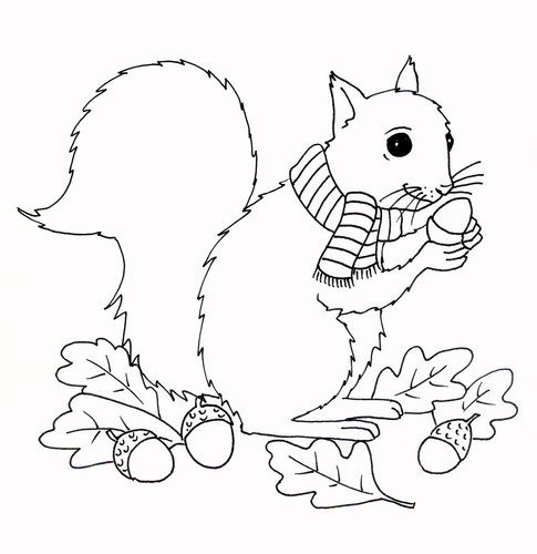 Autumn - Squirrel Colouring Page | Teaching Resources