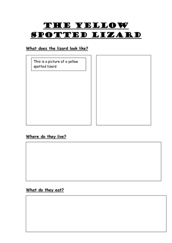 Holes yellow spotted lizard info sheet chapter 8 | Teaching Resources