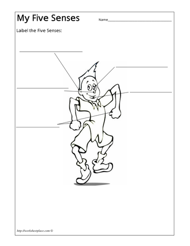 Senses, Hearing, Sight, Taste, Smell, Touch | Teaching Resources