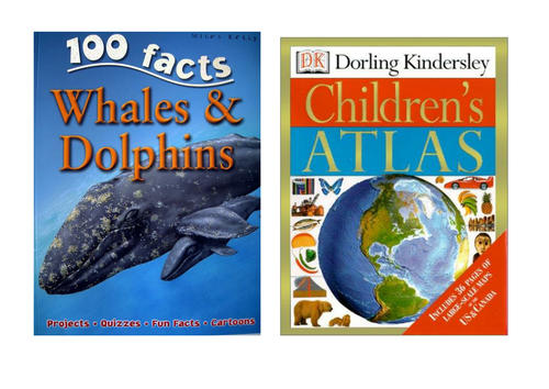 Fiction & Non-Fiction Book Report by tokyo_molly - Teaching Resources - TES