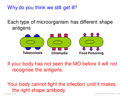 Immune response powerpoint | Teaching Resources