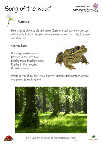 Song of the Wood | Teaching Resources