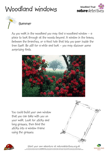 Woodland Windows | Teaching Resources