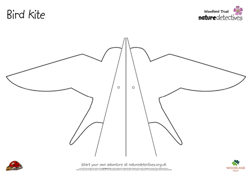 Birds - Bird Kite | Teaching Resources