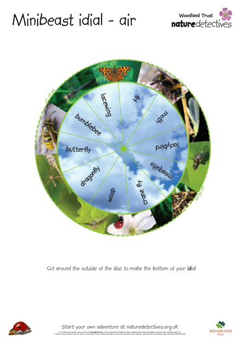 Fly - Minibeasts in the Air IDial | Teaching Resources