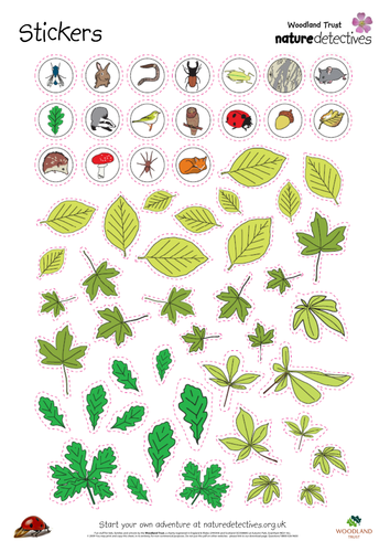 Sticky leaves | Teaching Resources