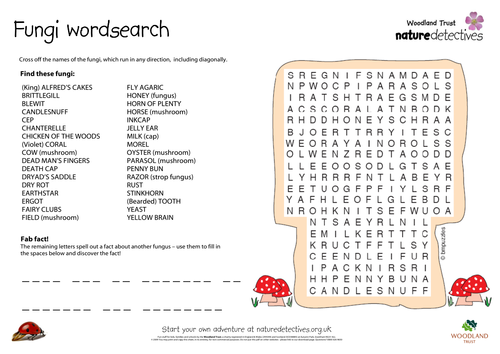 Fungi - Common Fungi Wordsearch | Teaching Resources