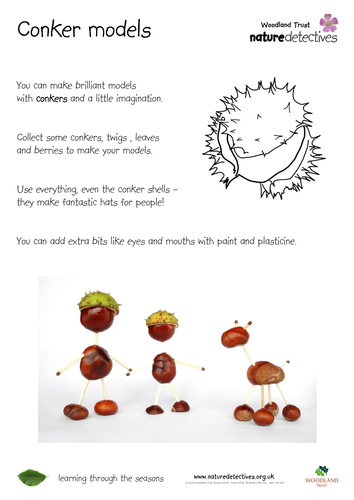 Horse Chestnut - Conker Models | Teaching Resources