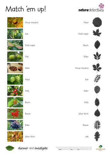 Seeds - Match 'em Up | Teaching Resources