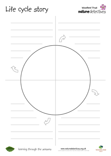 Life Cycle Story | Teaching Resources