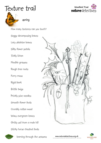 Senses - Texture Trail | Teaching Resources