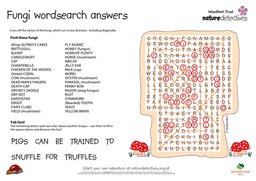 Parasol Mushroom - Common Fungi Wordsearch | Teaching Resources