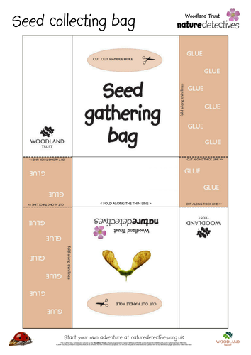 Bags - Seed Gathering Bag | Teaching Resources