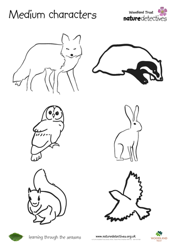 Animal Outlines | Teaching Resources