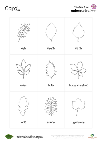 Autumn Leaf Cards | Teaching Resources
