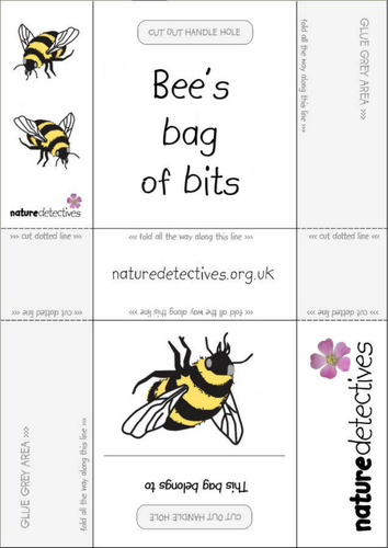Bee - Bumbly Bee Adventure Bag | Teaching Resources