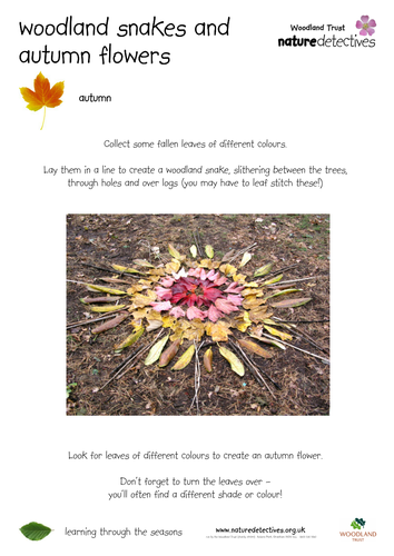 Play - Autumn Snakes and Flowers | Teaching Resources