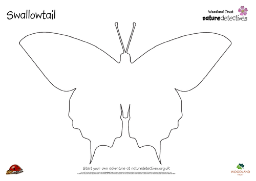 Butterflies - Colouring Swallowtail | Teaching Resources