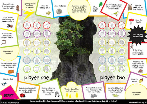 Food chain games | Teaching Resources