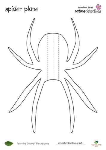 Spider - Spider Plane | Teaching Resources