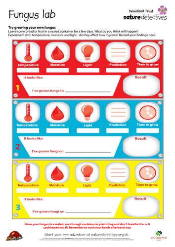 Fungus Experiment | Teaching Resources