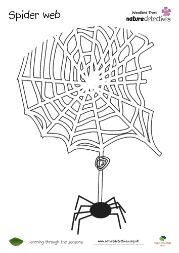 Spider - Spider Web Colouring Sheet | Teaching Resources