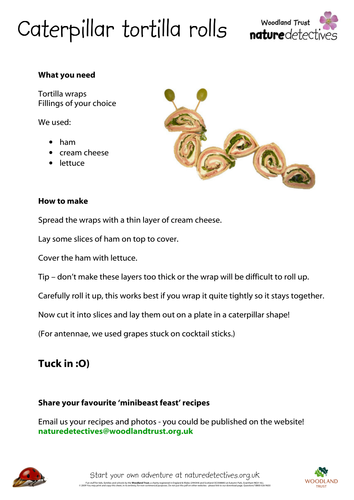 Caterpillar - Caterpillar Tortilla Rolls | Teaching Resources