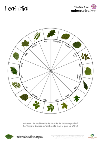 Leaf Idial | Teaching Resources