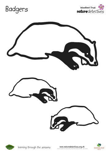 Badger Outline | Teaching Resources