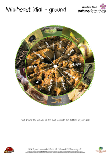 Centipede - Minibeasts on the Ground IDial | Teaching Resources