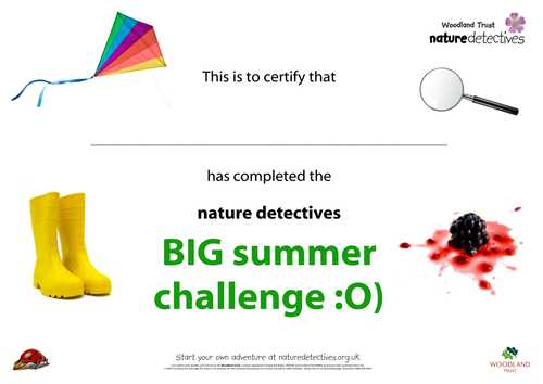 BIG summer challenge certificate | Teaching Resources