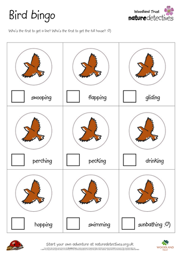 Bird Bingo | Teaching Resources