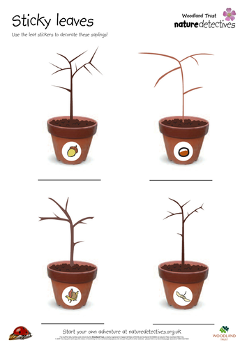 Sticky Leaves | Teaching Resources