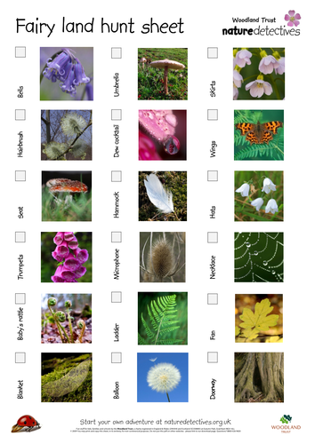 Fairy Hunt | Teaching Resources