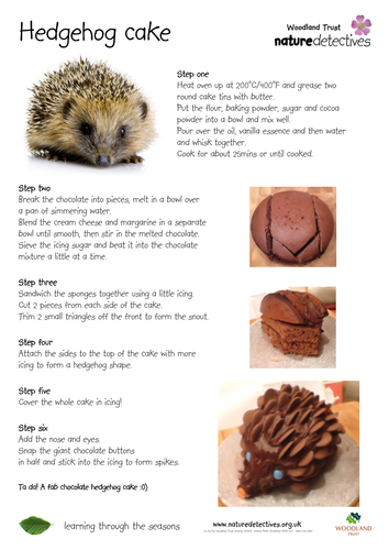 Recipes - Hedgehog Cake | Teaching Resources