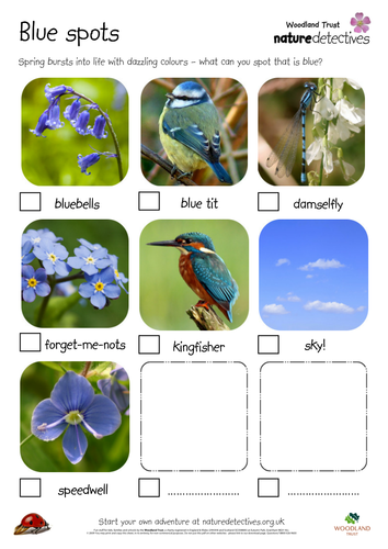 Blue Hunt Sheet | Teaching Resources